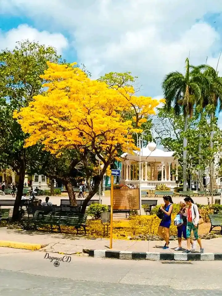 Parque Vidal o donde nació la ciudad (+Fotos y Audio) - CMHW